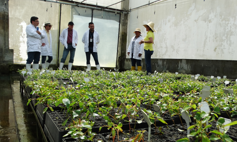 Tecnología Superior en Producción y Manejo Forestal | Corporación ...